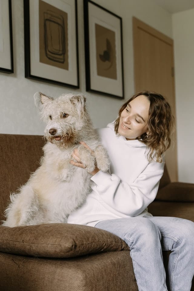 Pet Healing Services - Transform Your Pet's Health and Well-Being